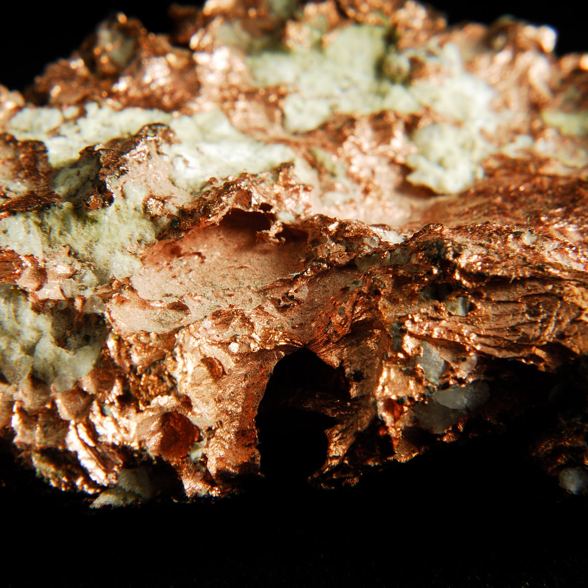 Copper Storage Disease in Dogs and Cats – Dr. Judy Morgan's Naturally ...