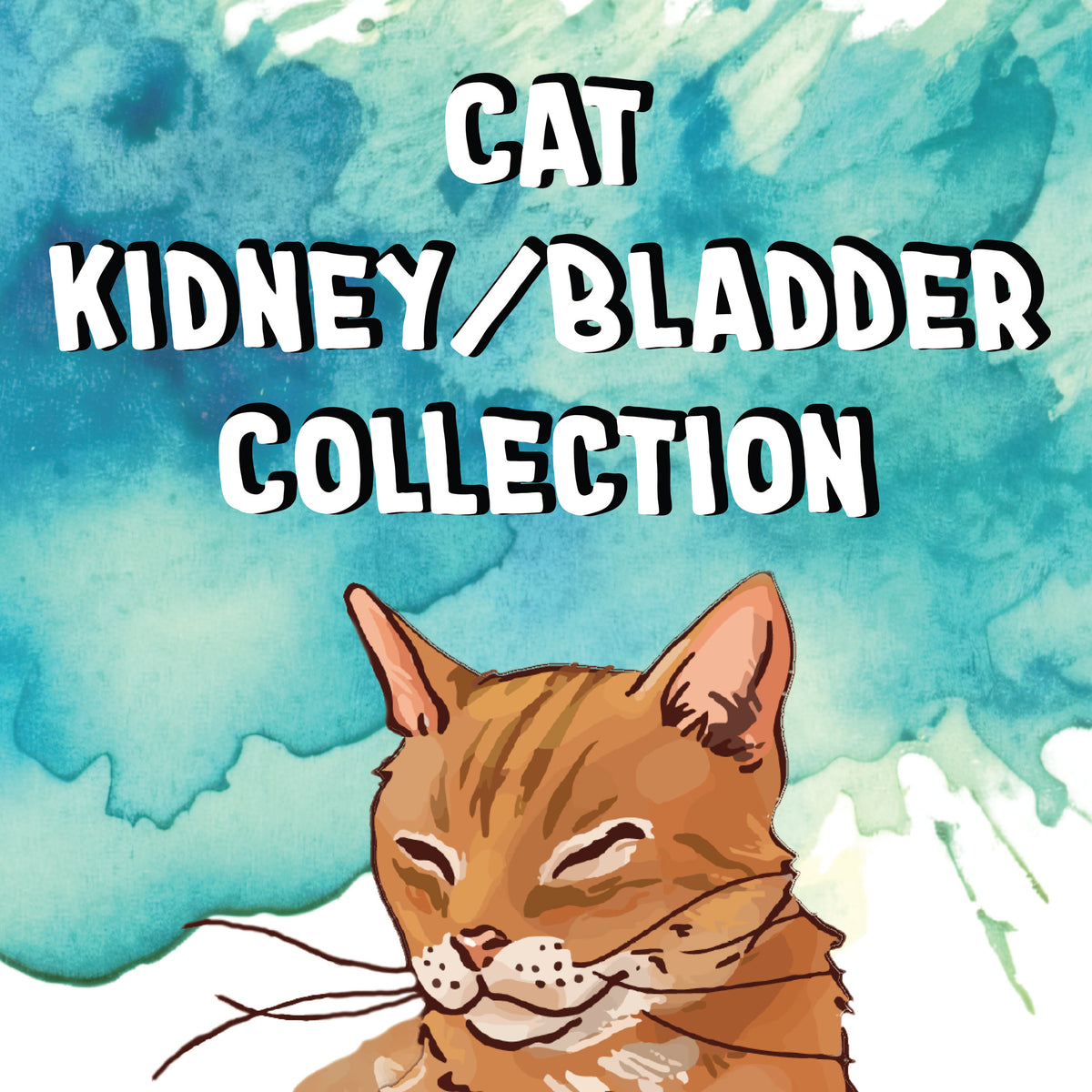 Cat - Kidney / Bladder / Urinary Tract – Dr. Judy Morgan's Naturally ...