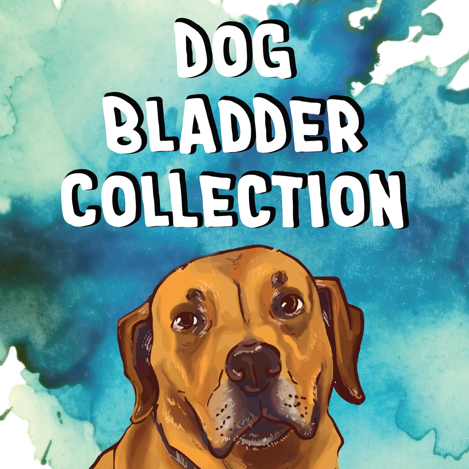 Dog - Bladder – Dr. Judy Morgan's Naturally Healthy Pets