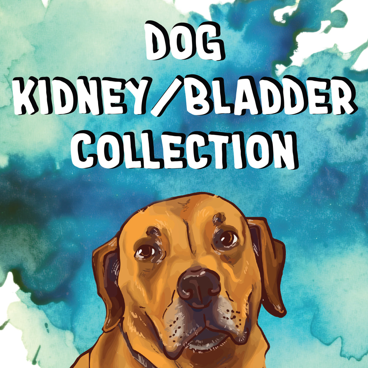 Dog - Kidney/Bladder/Urinary – Dr. Judy Morgan's Naturally Healthy Pets