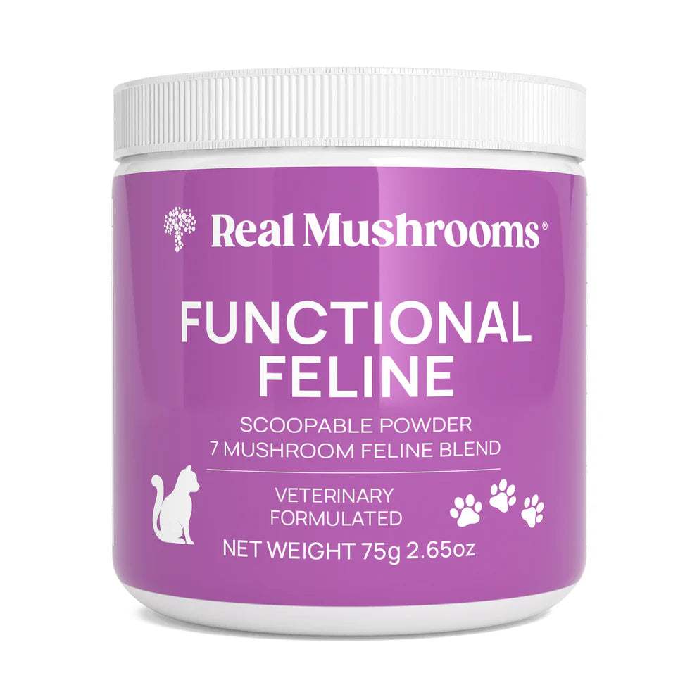 Real Mushrooms | Functional Feline Powder – Dr. Judy Morgan's Naturally ...