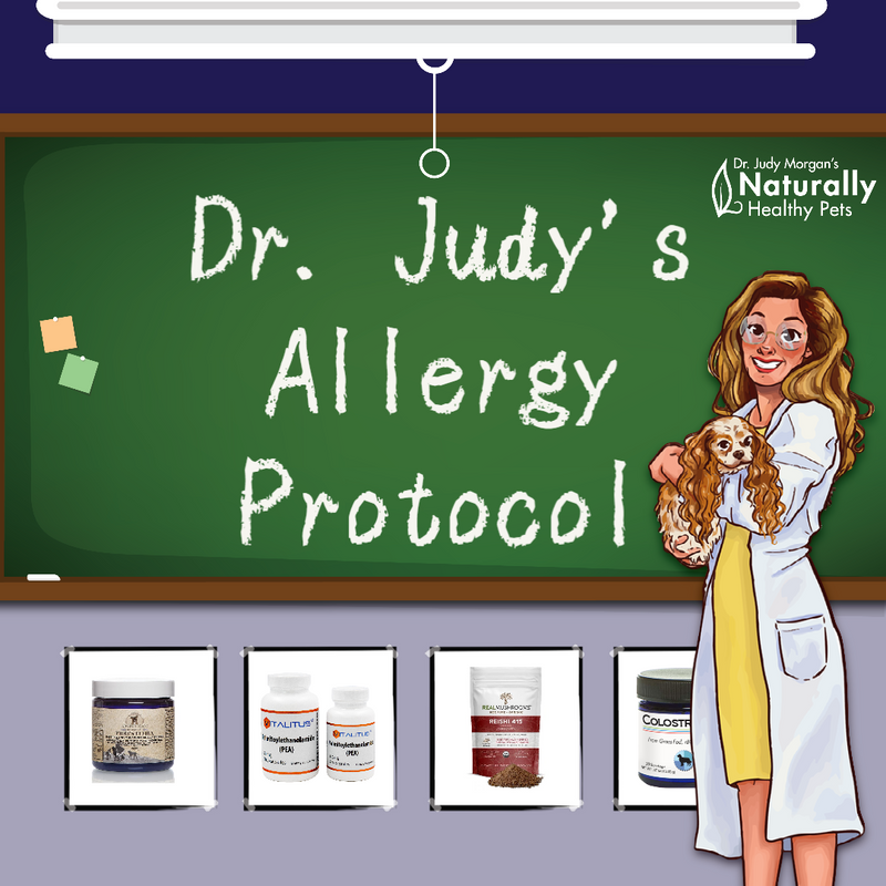 Dr. Judy's Allergy Protocol – Dr. Judy Morgan's Naturally Healthy Pets
