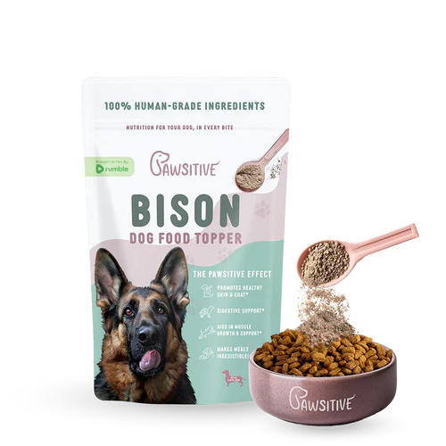 Pawsitive | Bison Organ Topper - 62g – Dr. Judy Morgan's Naturally ...
