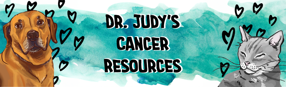 Cancer Awareness – Dr. Judy Morgan's Naturally Healthy Pets