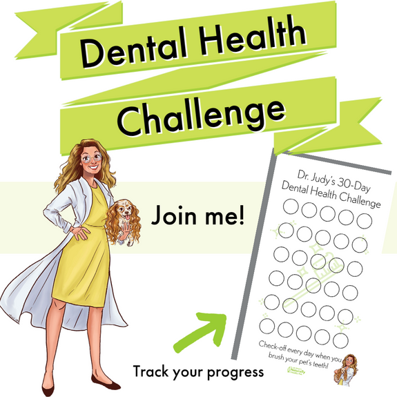 Dental Health – Dr. Judy Morgan's Naturally Healthy Pets