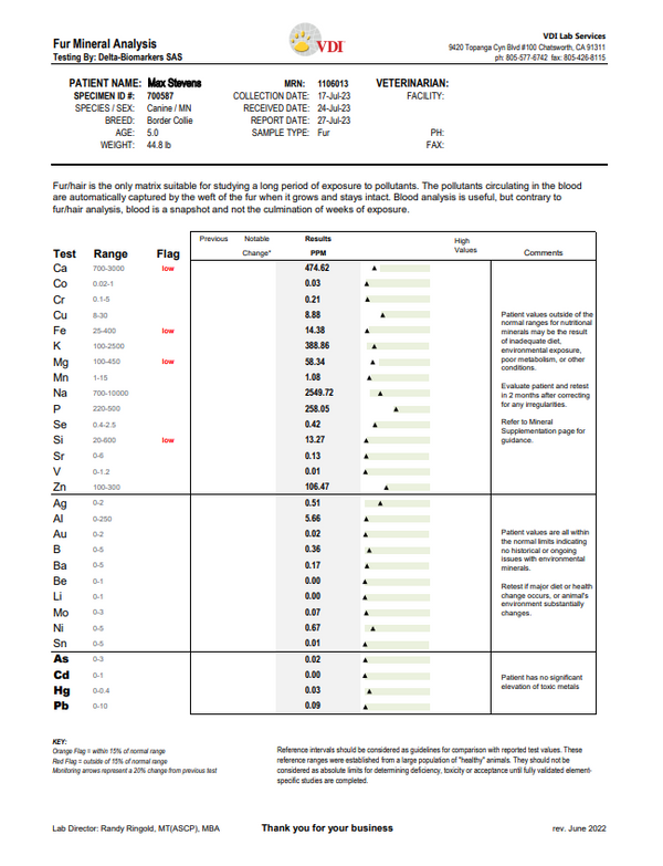 VDI Labs | Mineral and Toxic Metal Fur Analysis Test Kit – Dr. Judy ...