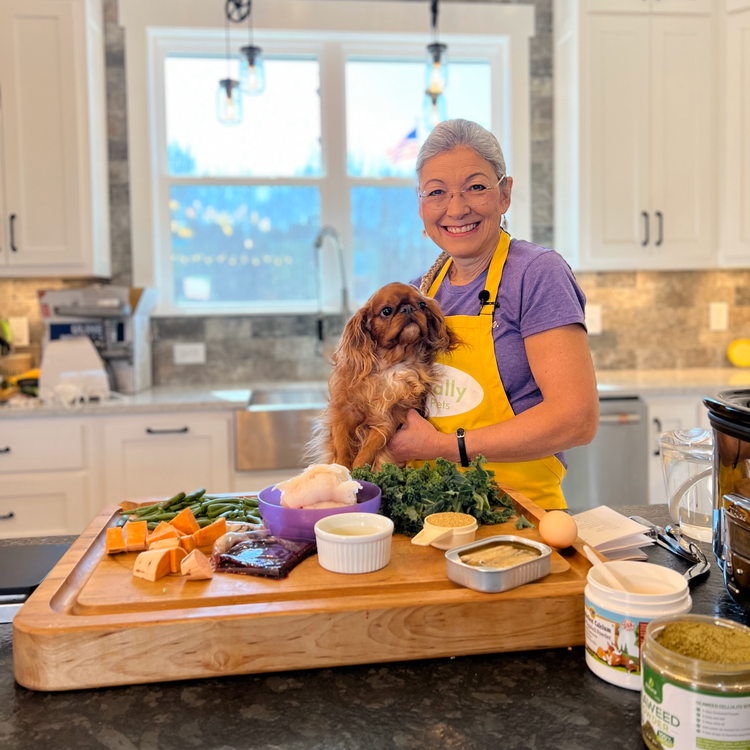 Pet Food & Nutrition – Dr. Judy Morgan's Naturally Healthy Pets