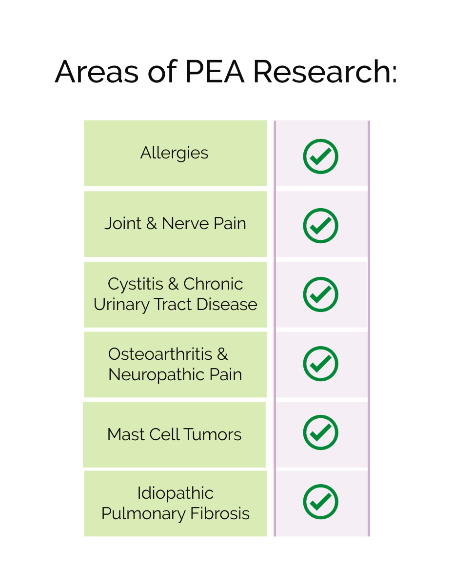 Palmitoylethanolamide (PEA) – Dr. Judy Morgan's Naturally Healthy Pets