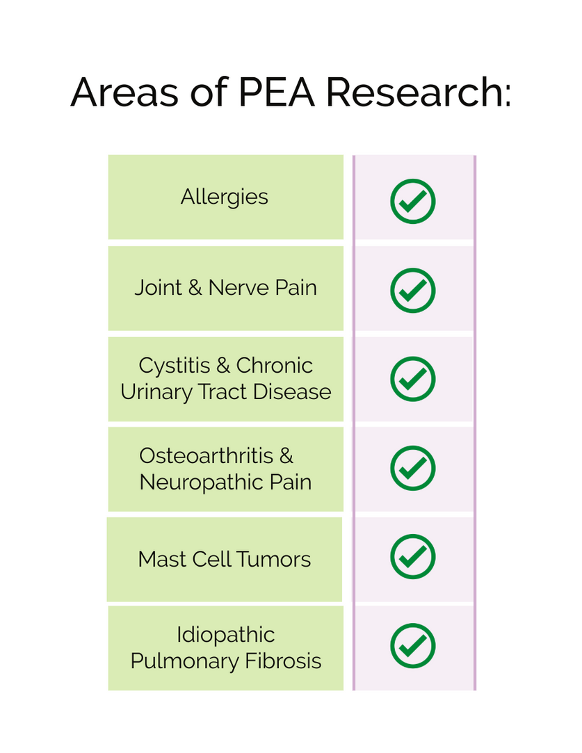 Palmitoylethanolamide (PEA) – Dr. Judy Morgan's Naturally Healthy Pets
