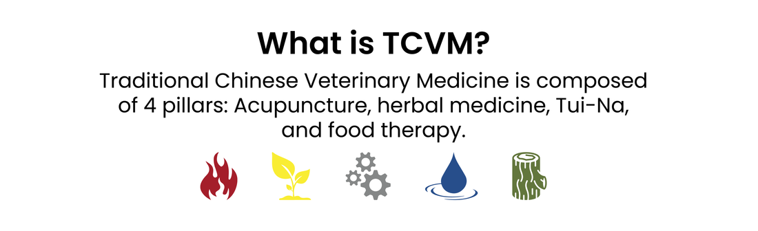 Dr. Judy's Constitutions – Dr. Judy Morgan's Naturally Healthy Pets