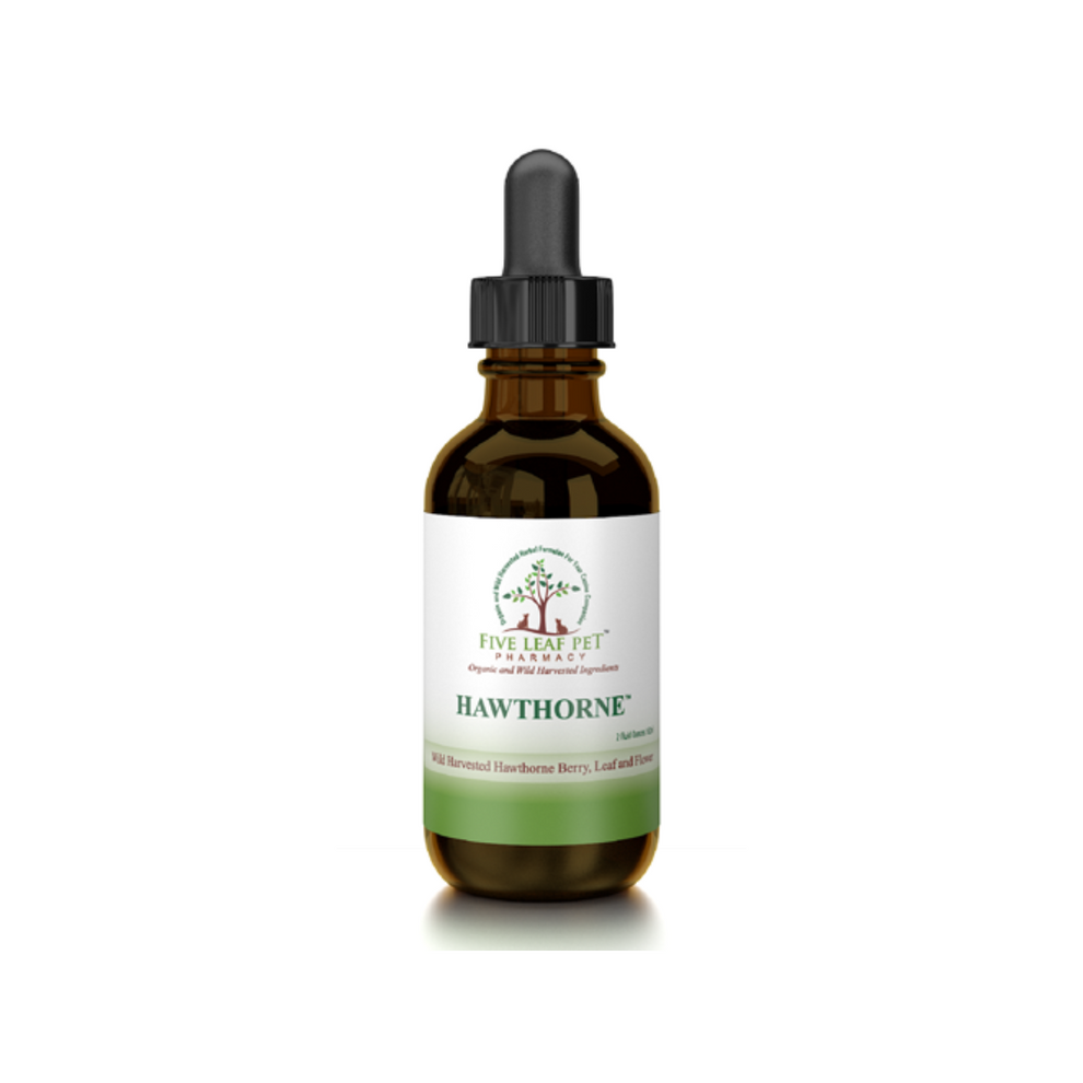 Five Leaf Botanicals | Canine Heart Health Program – Dr. Judy Morgan's ...