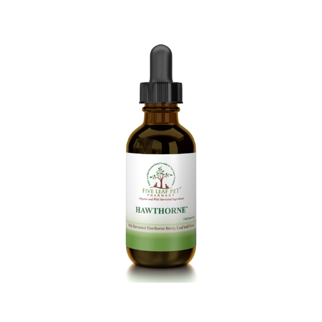 Five Leaf Botanicals | Hawthorne Tincture – Dr. Judy Morgan's Naturally ...