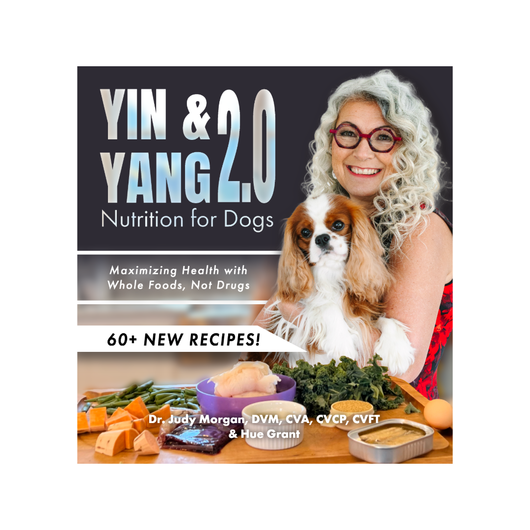 Yin & Yang 2.0 Nutrition for Dogs – Dr. Judy Morgan's Naturally Healthy ...