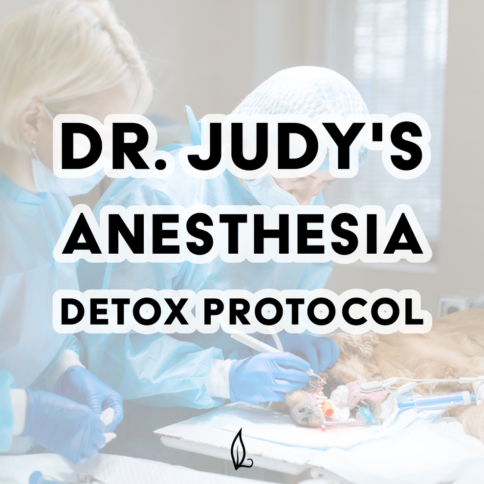 Dr. Judy's Anesthesia Detox Protocol for Dogs – Dr. Judy Morgan's ...