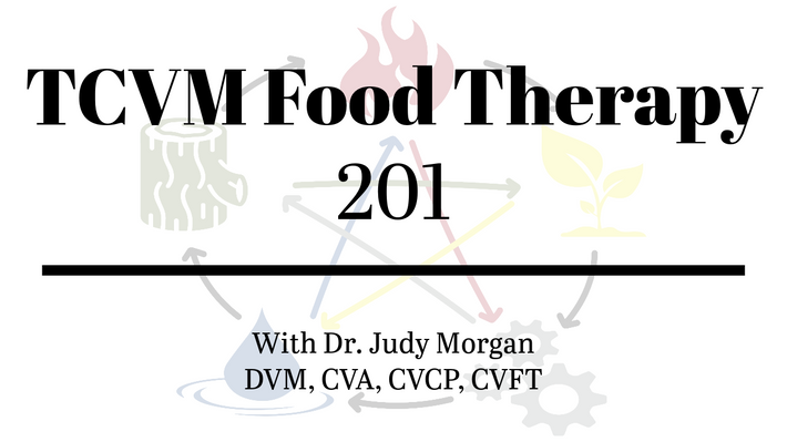 Dr. Judy's Constitutions – Dr. Judy Morgan's Naturally Healthy Pets