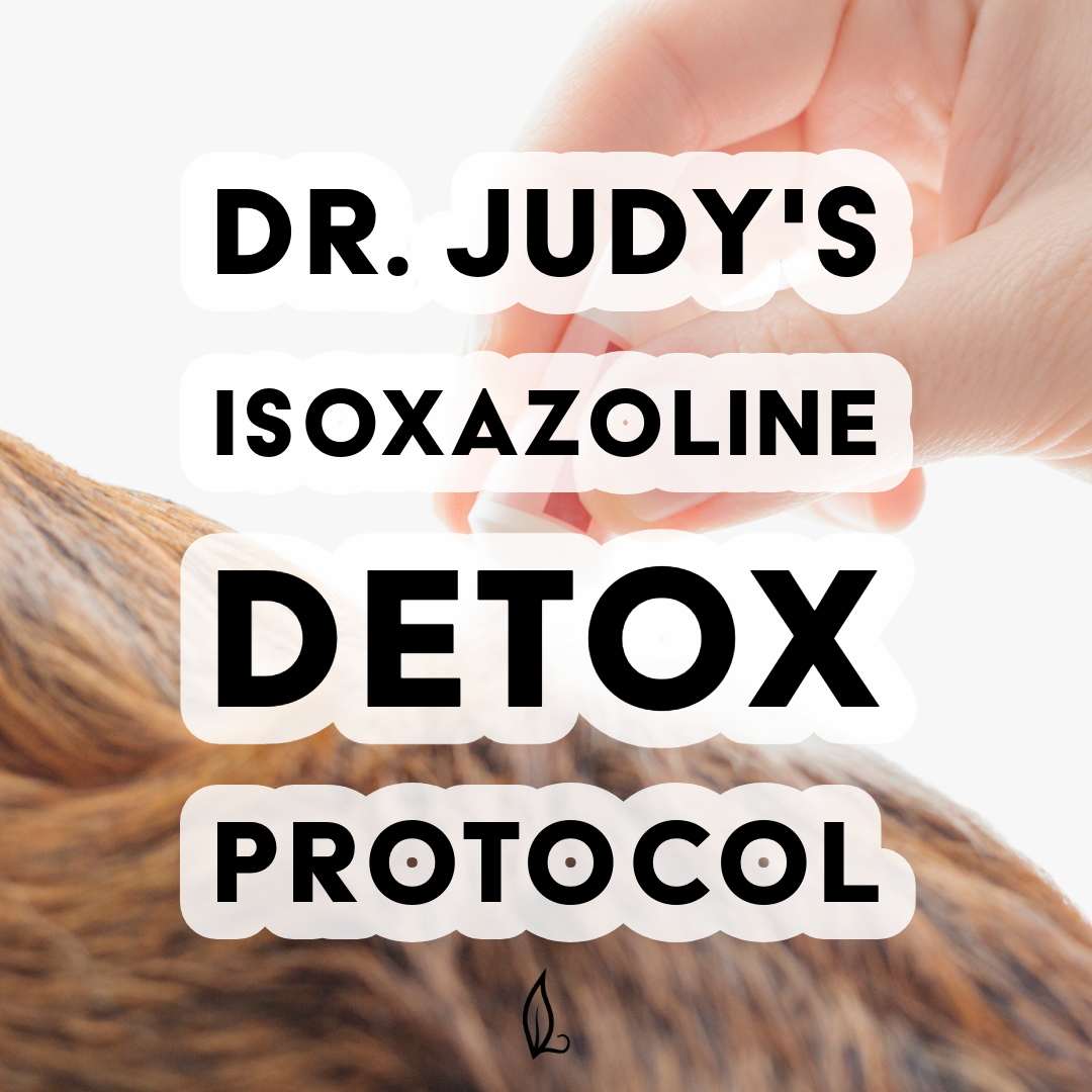 Fleas, Ticks & Heartworm – Dr. Judy Morgan's Naturally Healthy Pets