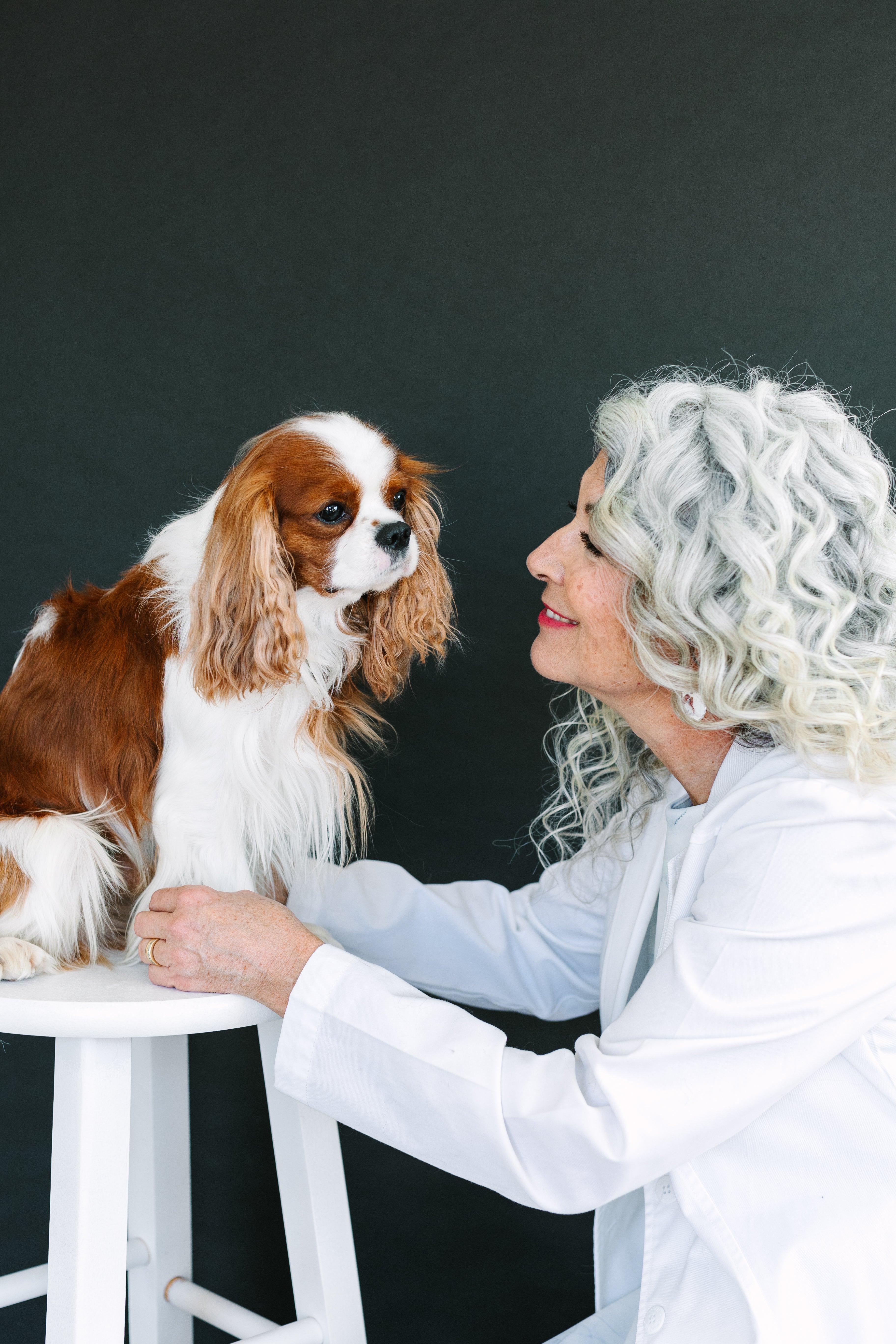 Dr Judy Morgan's Naturally Healthy Pets – Dr. Judy Morgan's Naturally ...