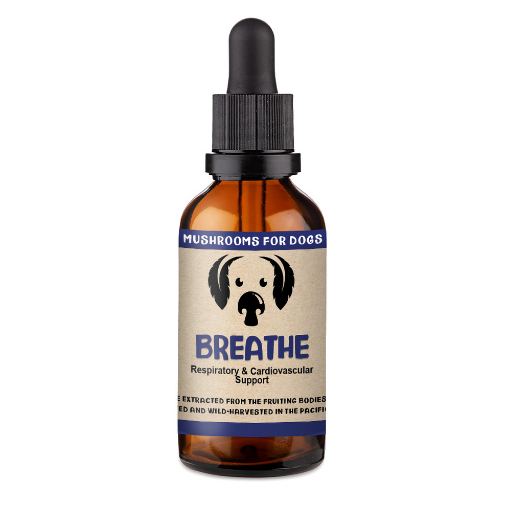 MYCODog | Breathe - Mushroom Extract & Adaptogen Tincture – Dr. Judy ...