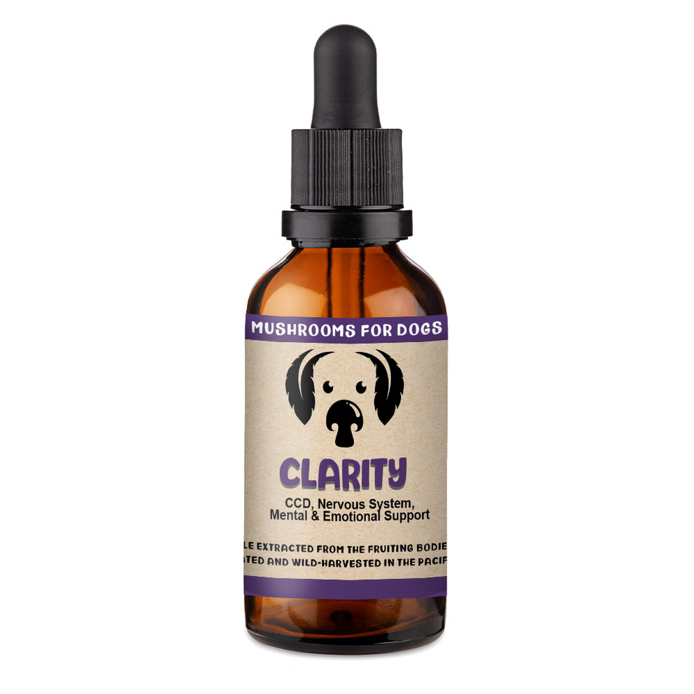 MYCODog | Clarity - Mushroom Extract & Adaptogen Tincture – Dr. Judy ...