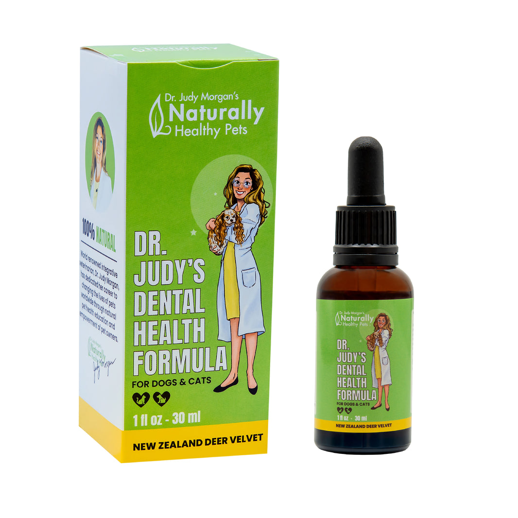 Dr. Judy Products – Dr. Judy Morgan's Naturally Healthy Pets