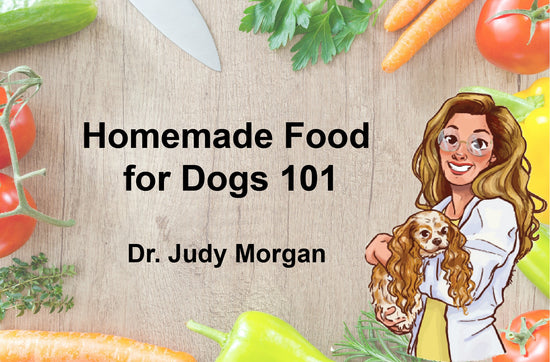 Pancreatitis – Dr. Judy Morgan's Naturally Healthy Pets
