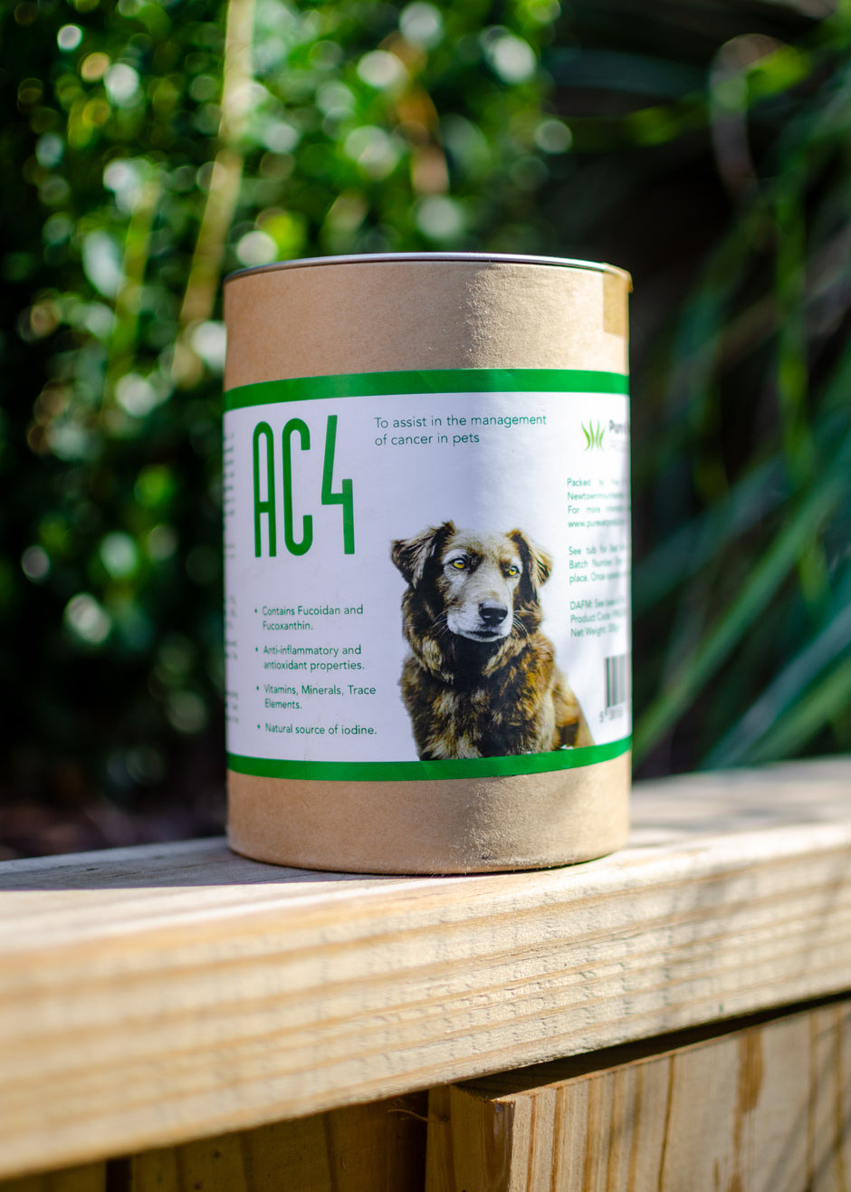 Products – Dr. Judy Morgan's Naturally Healthy Pets