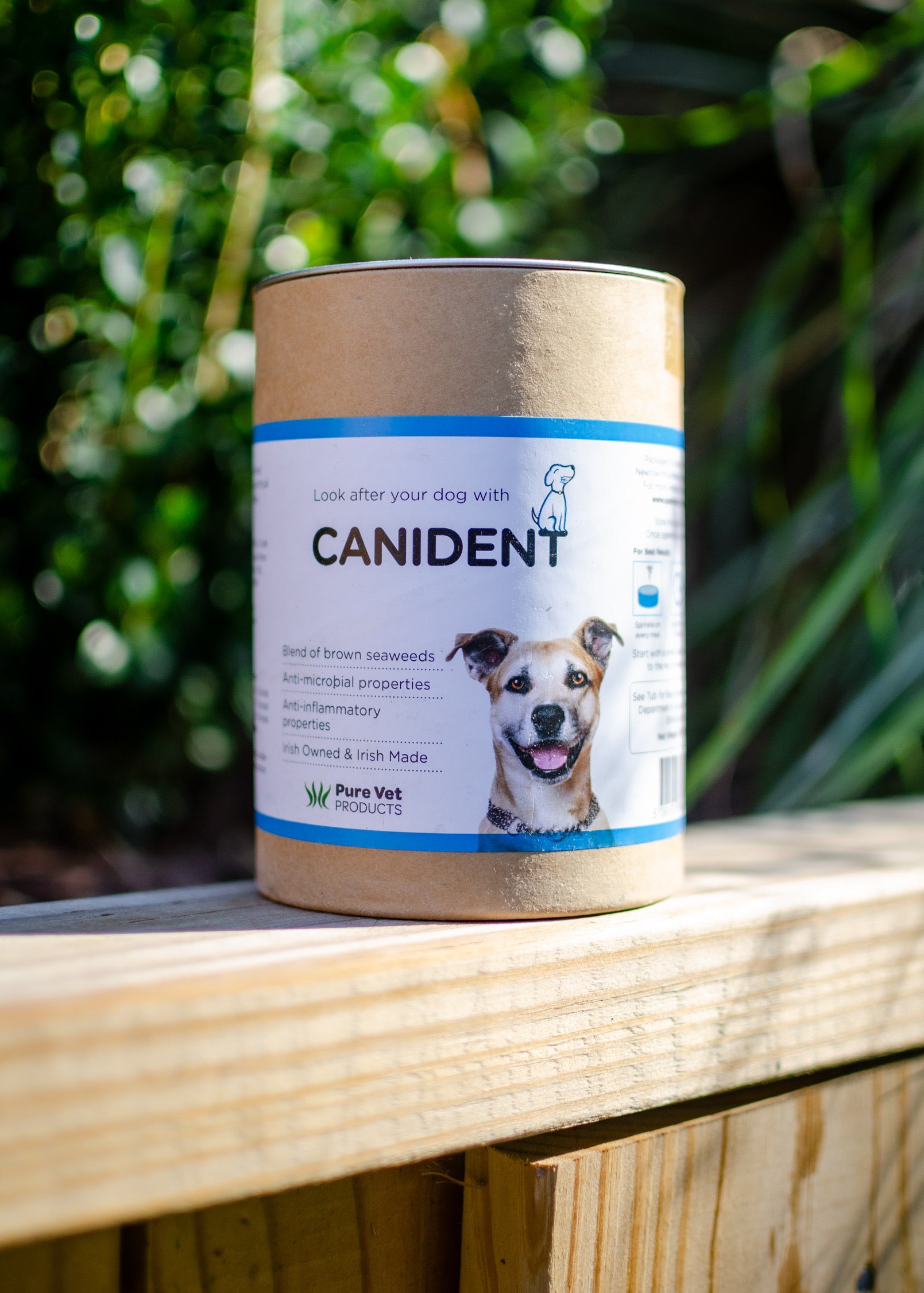 Canident | Oral Hygiene – Dr. Judy Morgan's Naturally Healthy Pets