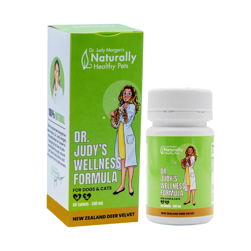 Dr. Judy Products – Dr. Judy Morgan's Naturally Healthy Pets