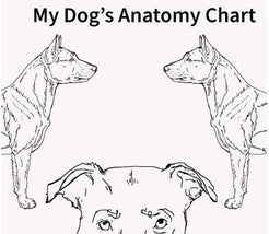 Pet Body Map - Track Lumps, Bumps, Wounds & Warts – Dr. Judy Morgan's ...